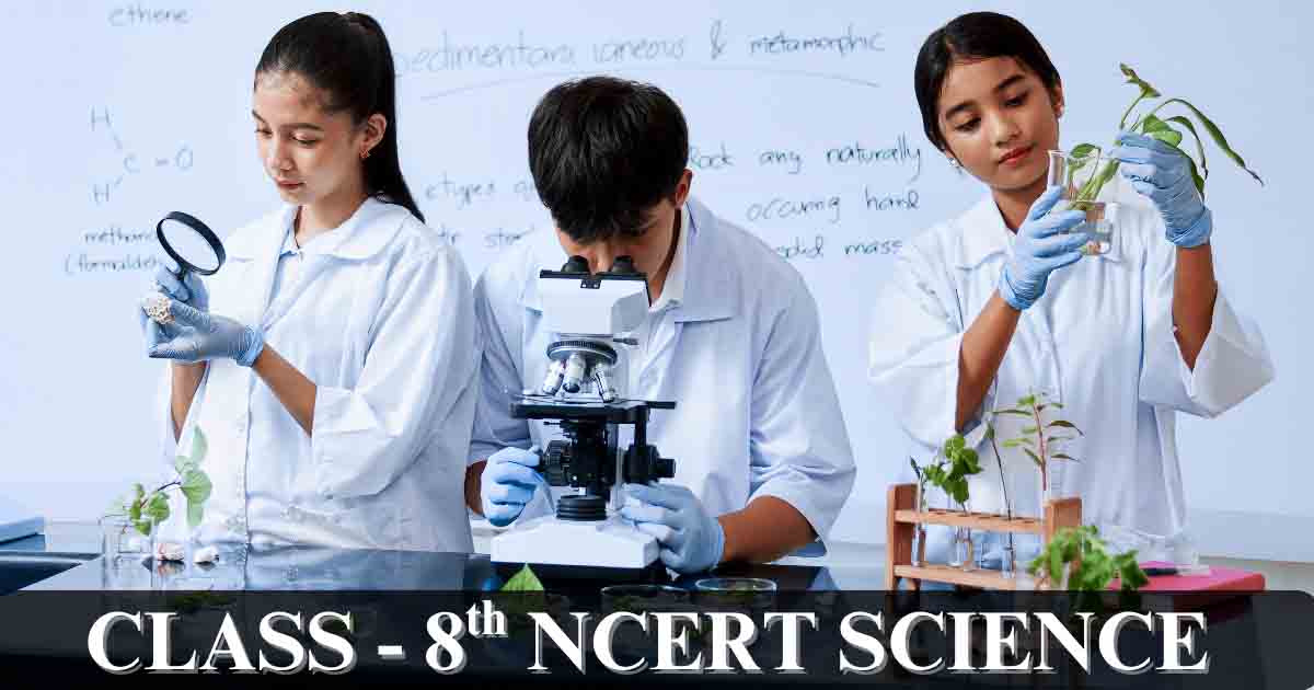 NCERT Class 8 Science Curiosity – How Nature Works in Harmony